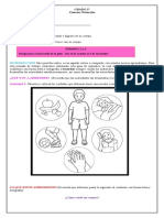 Actividades del Cuerpo Humano 1° Grado | PDF | Hueso | Articulación