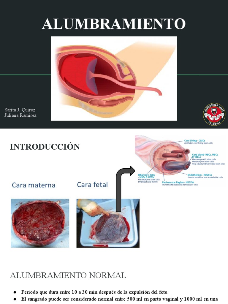 ALUMBRAMIENTO | PDF | Placenta | Parto