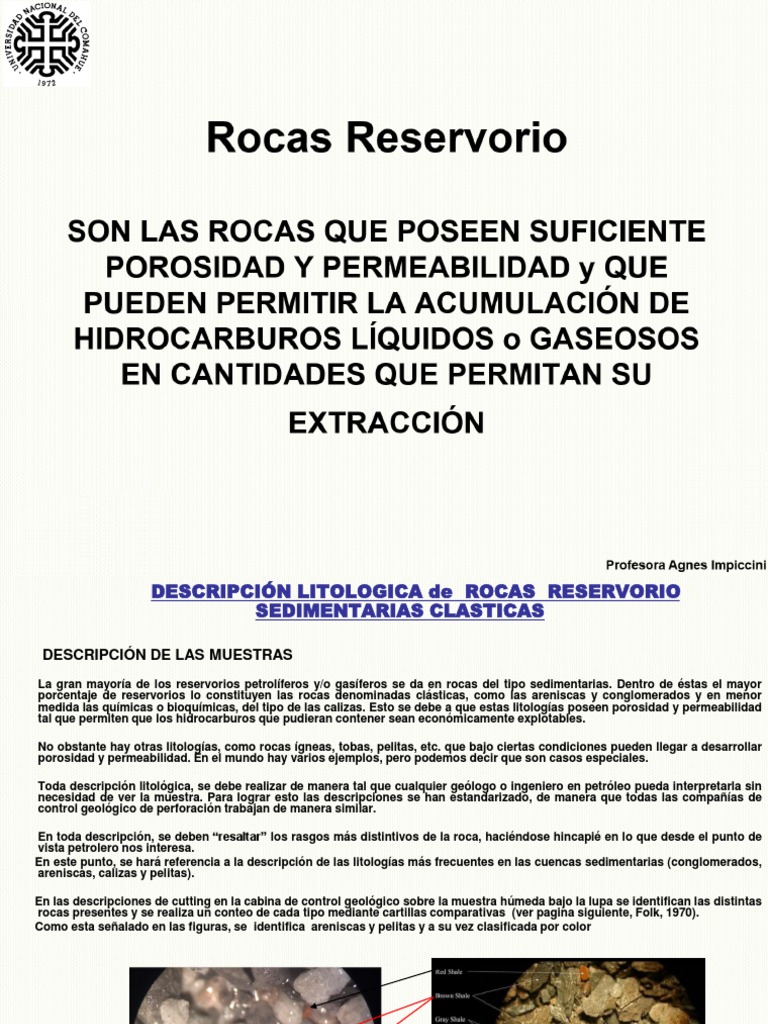 5 Rocas Reservorio Clasticas | PDF | Roca clástica | Hidrocarburos