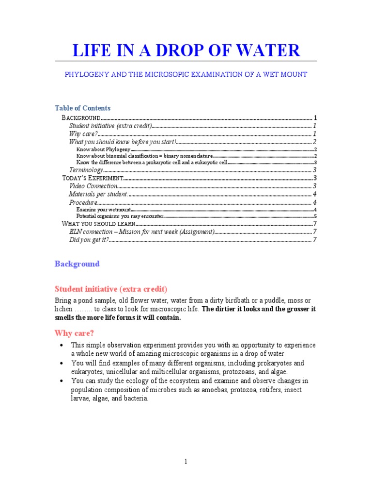 Life in A Drop of Water 1c | PDF | Cell (Biology) | Microorganism