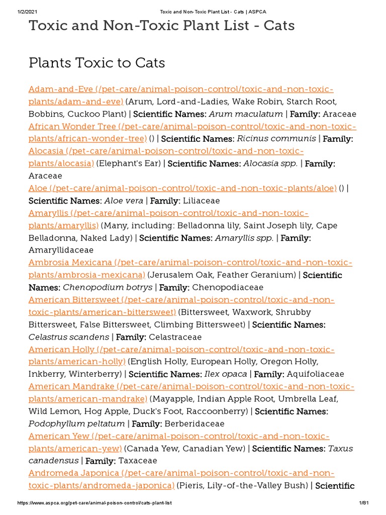 Toxic and Non-Toxic Plant List - Cats - ASPCA | PDF | Plants | Botany