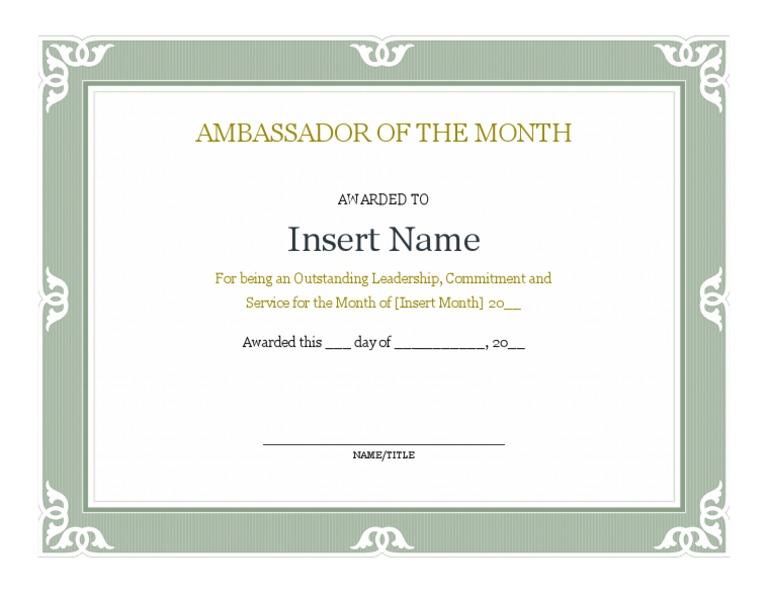 Ambassador Certificate | PDF