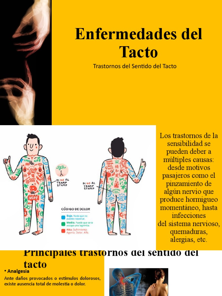 Enfermedades Del Tacto | PDF | Dolor | Estímulo (fisiología)