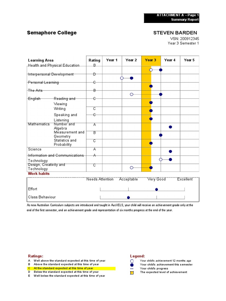 Primary School Report Template | PDF | English As A Second Or Foreign ...