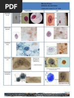 Cestodes (Table) | PDF | Medical Specialties | Diseases And Disorders
