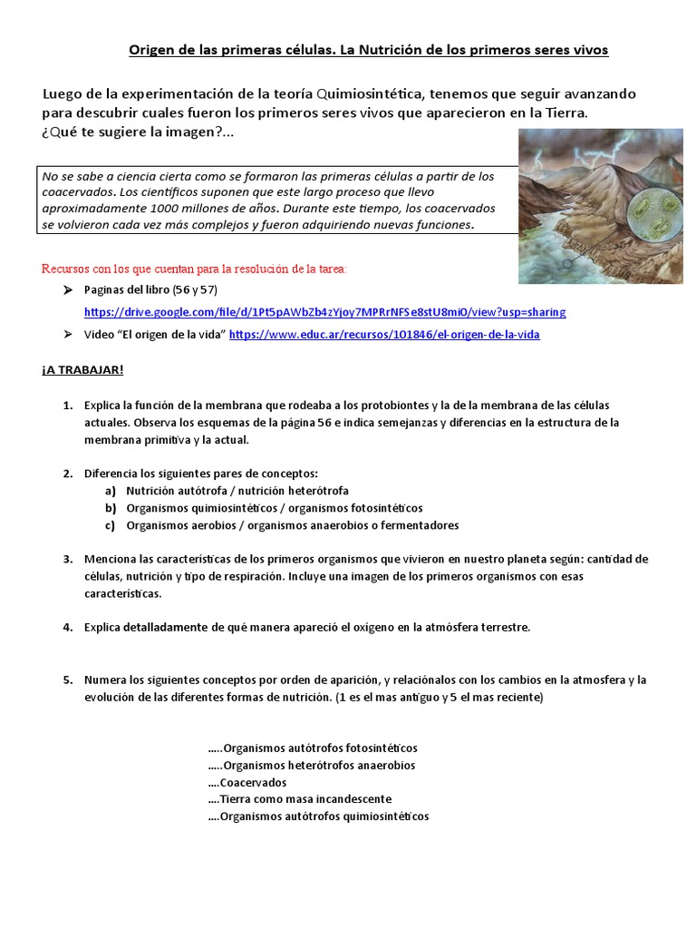 Origen de Las Primeras Celulas Nutricion de Los Primeros Seres Vivos ...