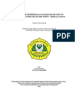 Thorax PA, AP Dan Lateral, RLD Dan LLD | PDF