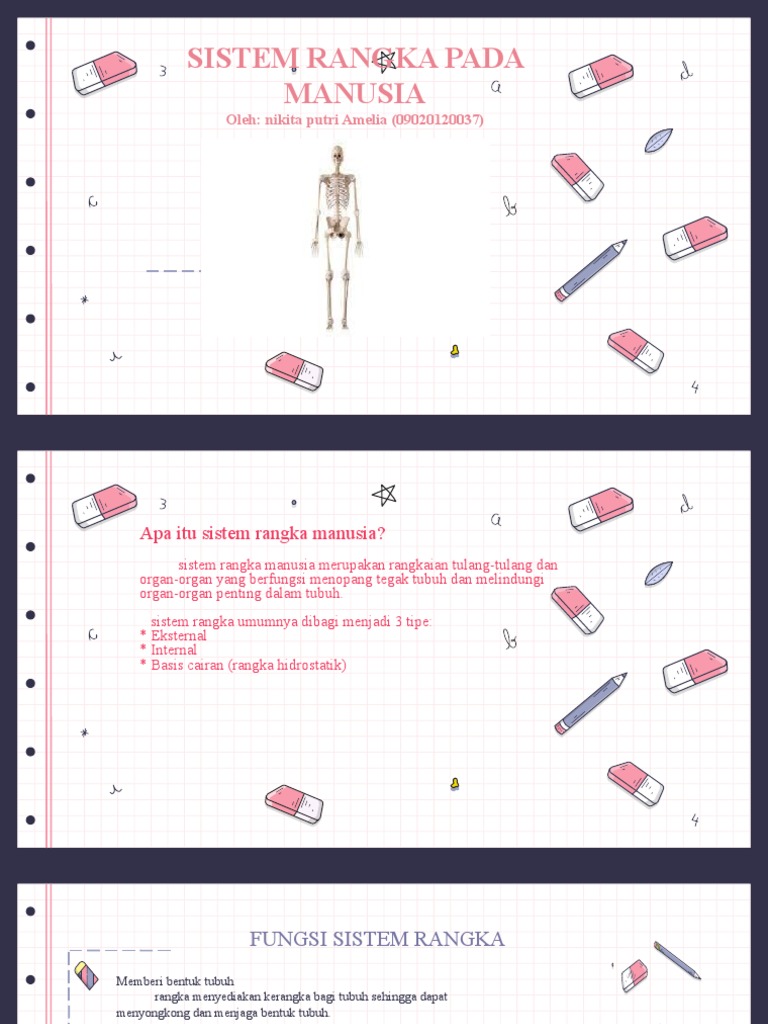 Sistem Rangka Manusia | PDF