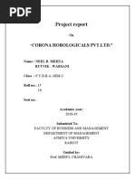 Import Export Documentation Procedure Project Report | PDF | Supply ...