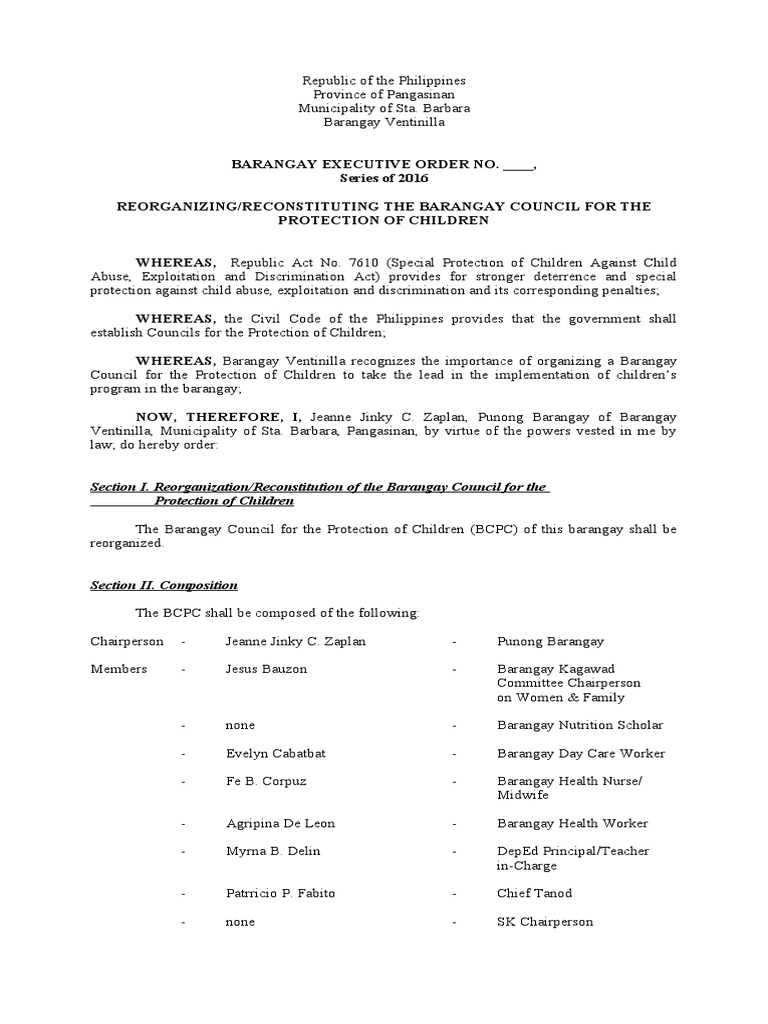 BCPC Executive Order | PDF | Child Care | Relationships