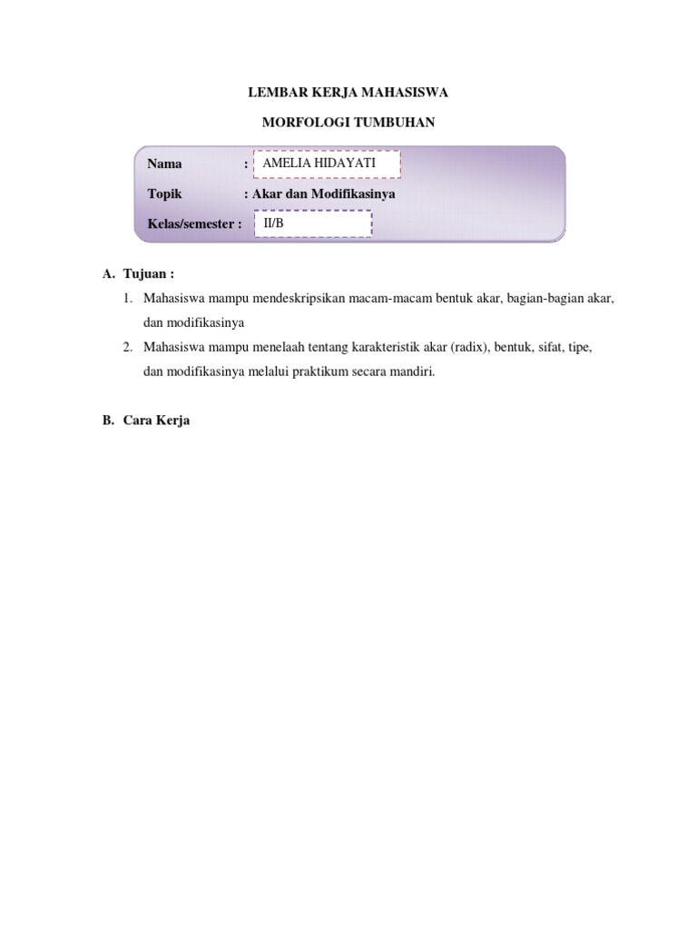 Morfologi dan Modifikasi Akar Tumbuhan | PDF