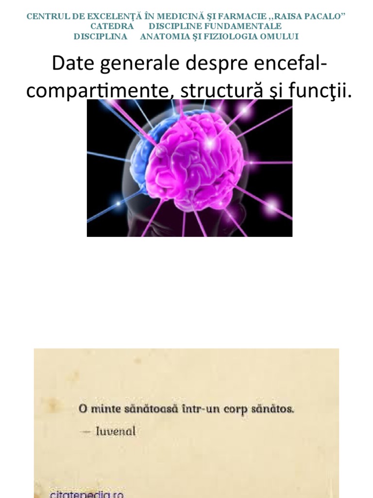 Anatomie Encefal | PDF