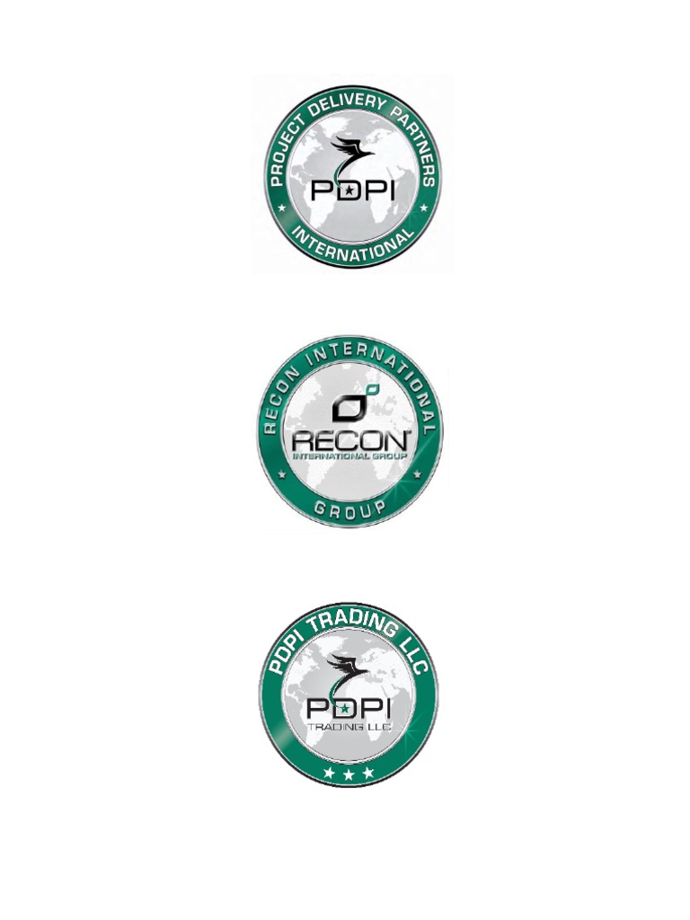 Pdpi - Recon Profile V4 | PDF | Procurement | Saudi Arabia