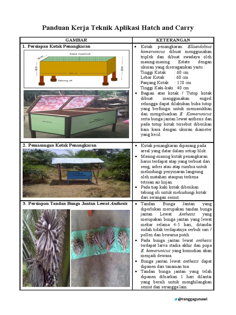 Panduan Kerja Teknik Aplikasi Hatch and Carry Versi Lawas | PDF