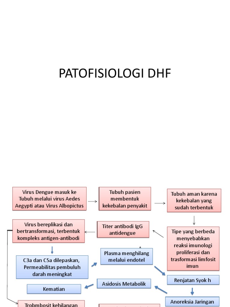 Patofisiologi DHF | PDF