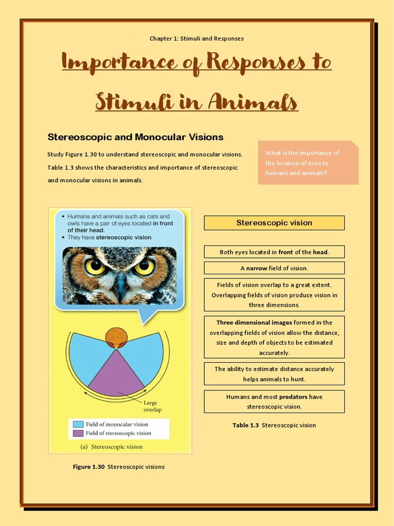 Importance of Responses To Stimuli in Animals | PDF | Stereoscopy ...