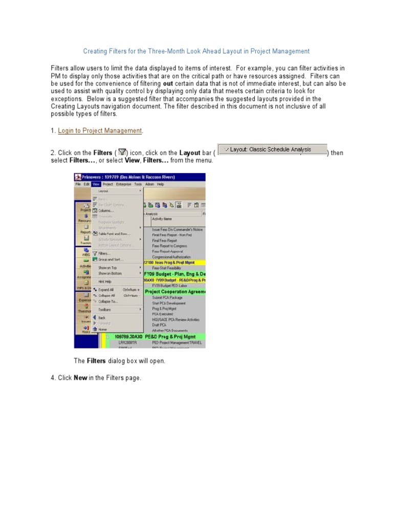 Creating Filters in Primavera | PDF | Icon (Computing) | Parameter (Computer Programming)