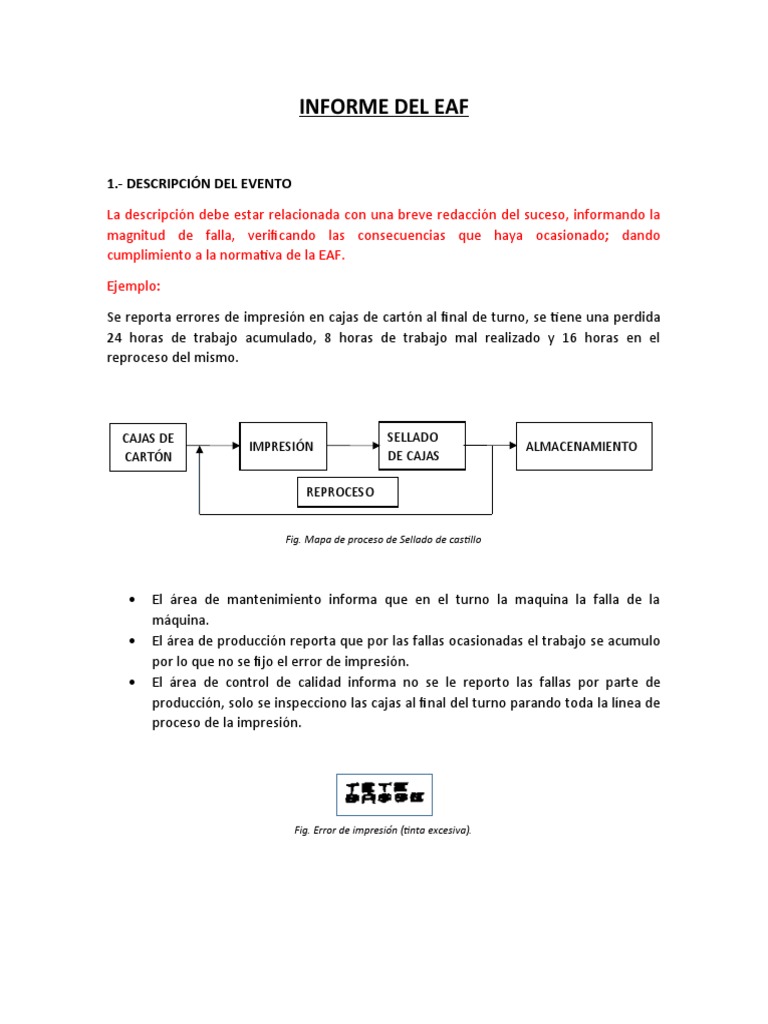 Informe Del Eaf | PDF