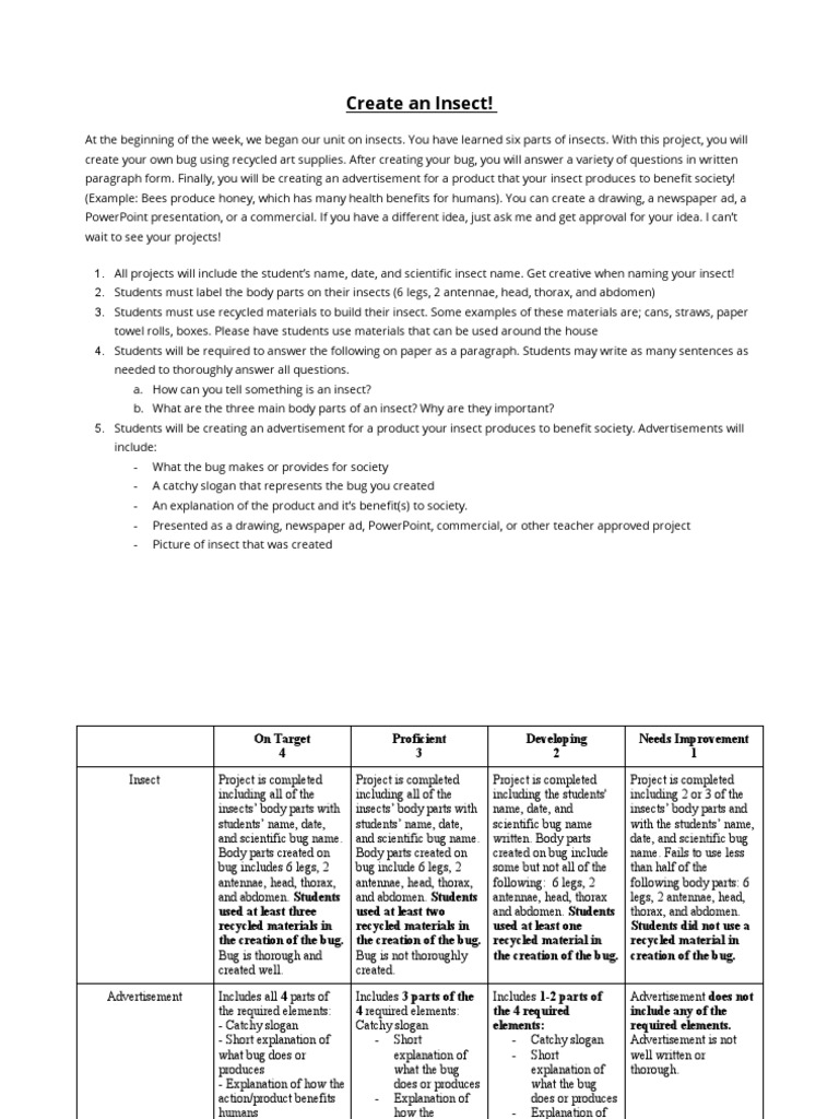 Create A Bug Rubric | PDF | Insects