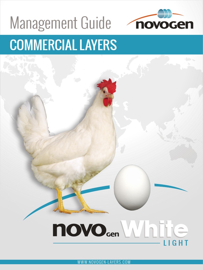 Commercial Layers: Management Guide | PDF | Egg As Food | Chicken