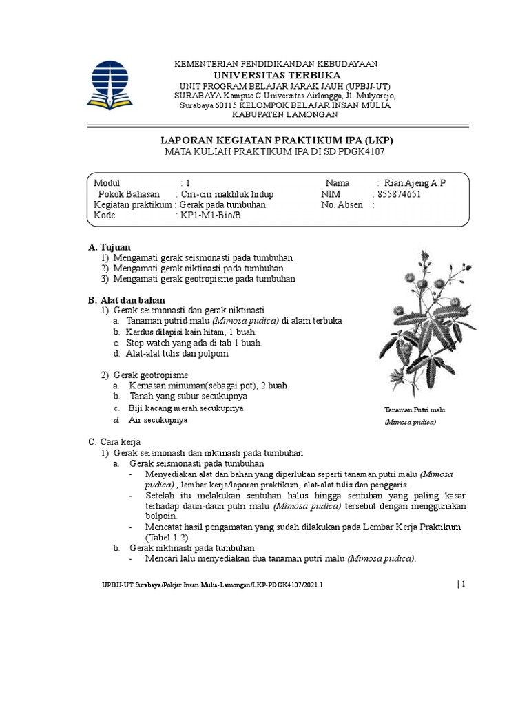 LKP-1 Praktikum IPA SD PDGK4107 | PDF