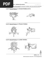 096-T04 A WristHand MM | PDF | Finger | Anatomical Terms Of Motion