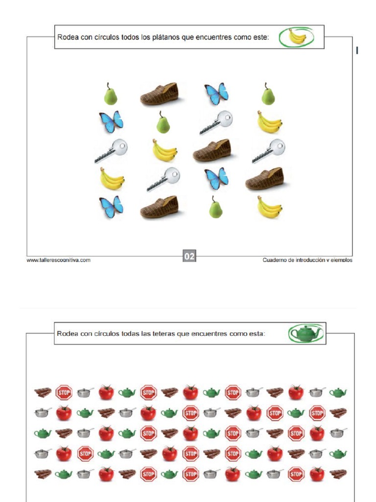 Ficha Atencion y Funciones Ejecutivas | PDF