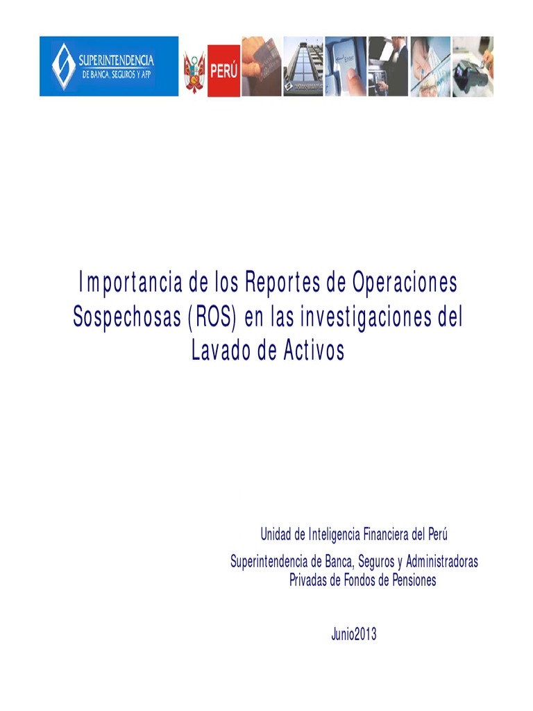 Importancia de Los ROS en Investigaciones de LA - v1 | PDF | Business ...