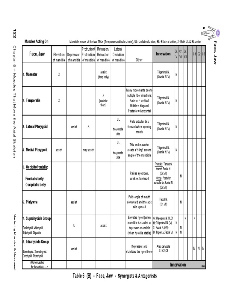 Face, Jaw: Elevation Depression Protrusion/ Protraction Retrusion ...