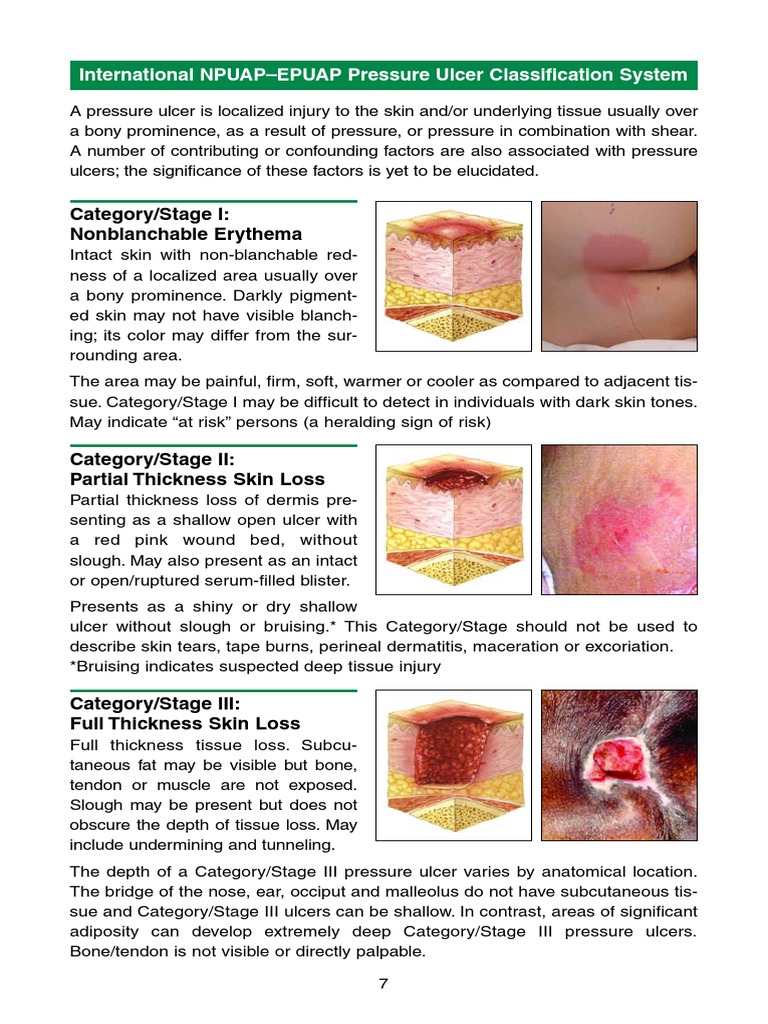 International PU Classification 2009 | PDF | Skin | Tendon