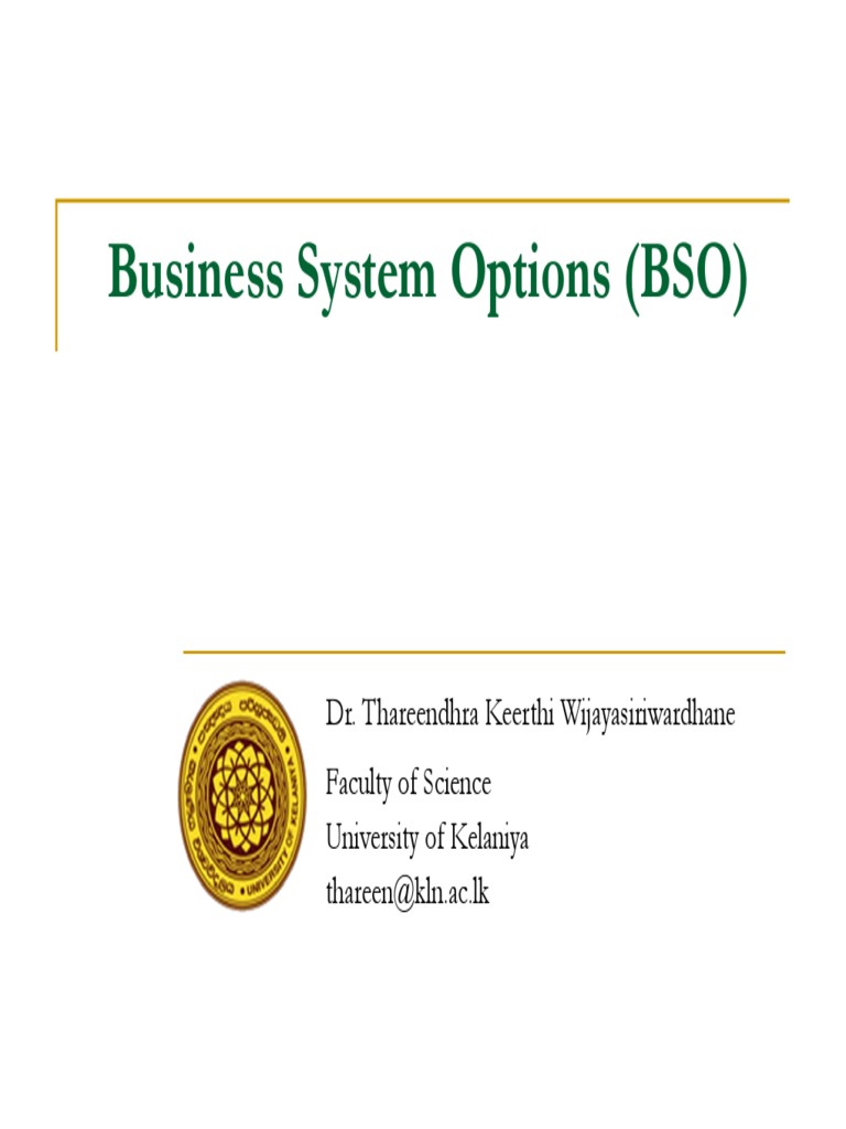 Business System Options (BSO) | PDF | Information Technology | Computer ...