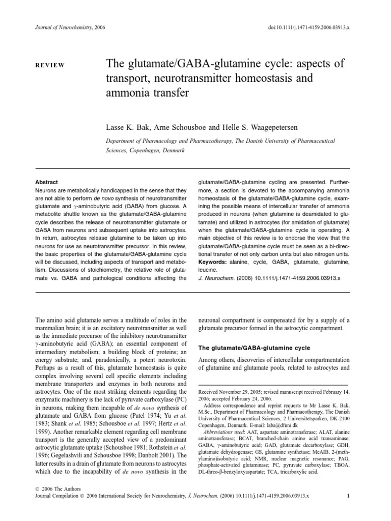 The glutamate/GABA-glutamine Cycle: Aspects of Transport ...