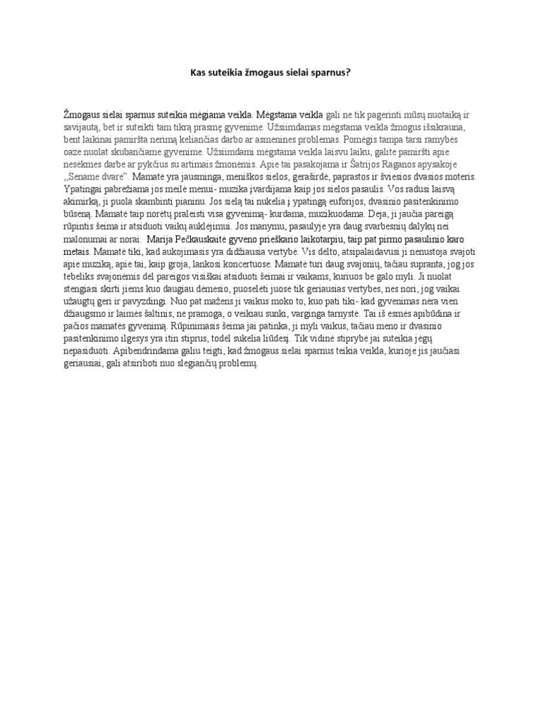 Dokumentas 24 | PDF