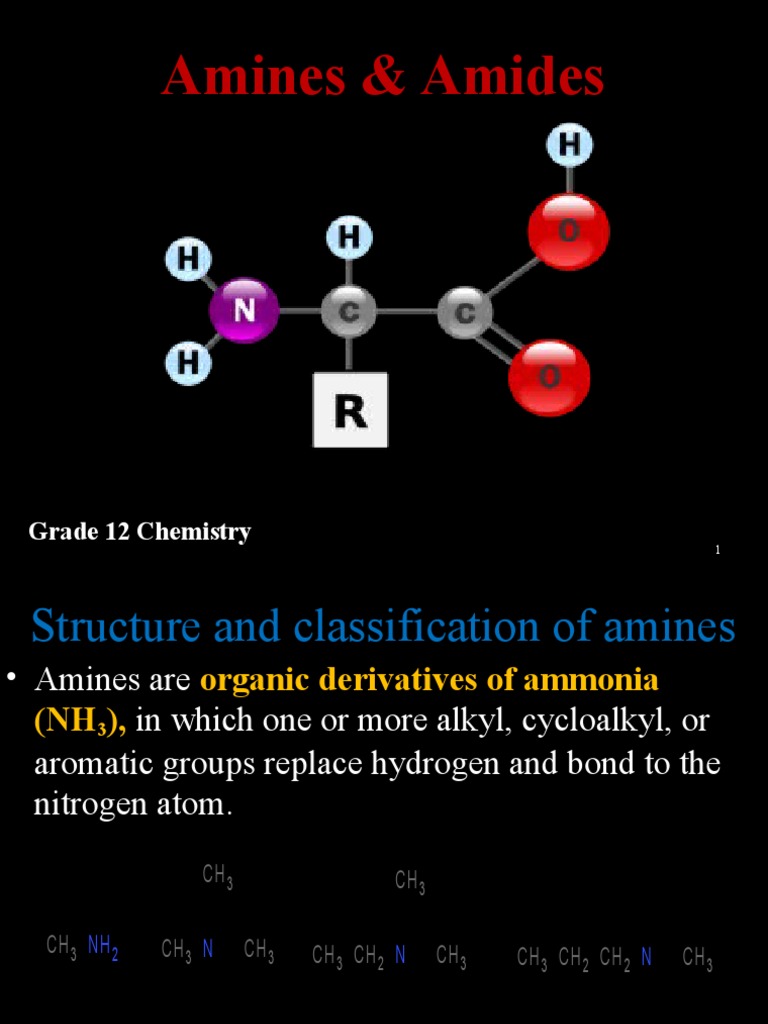 Amines & Amides: Grade 12 Chemistry | PDF | Amine | Amide