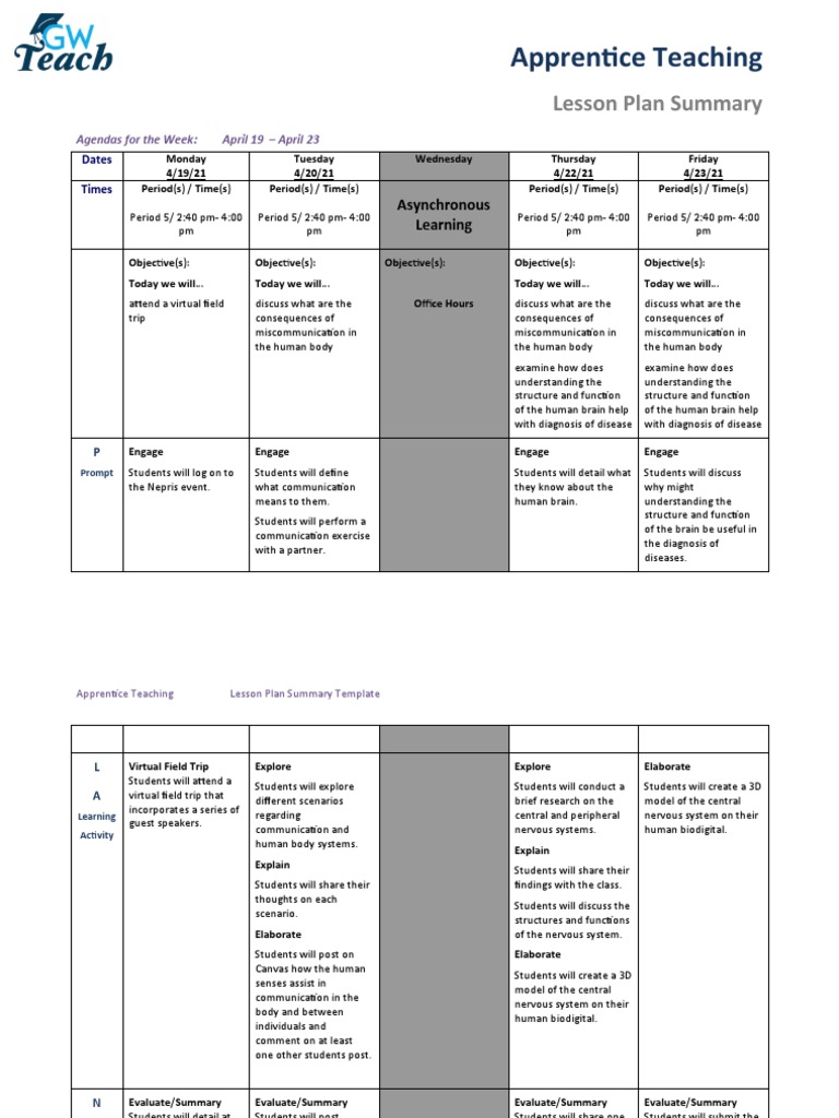Apprentice Teaching: Lesson Plan Summary | PDF | Lesson Plan | Psychology
