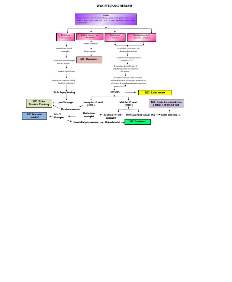 Woc Kejang Demam | PDF
