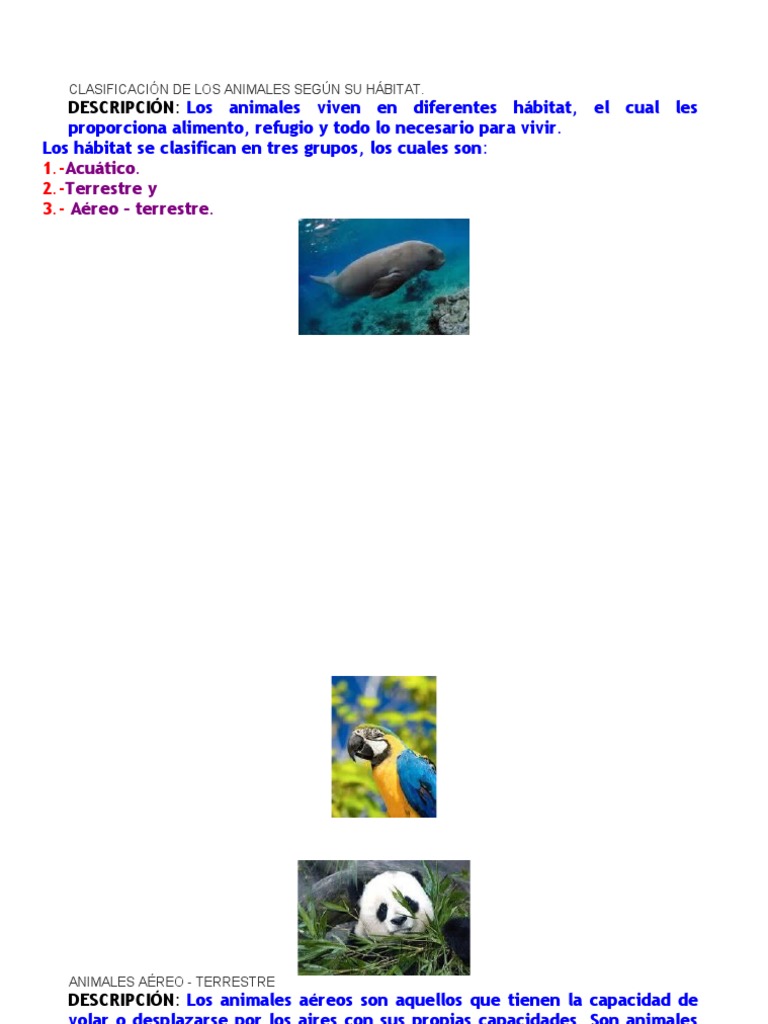 Clasificación de Animales por Hábitat | PDF | Anfibio | Aves