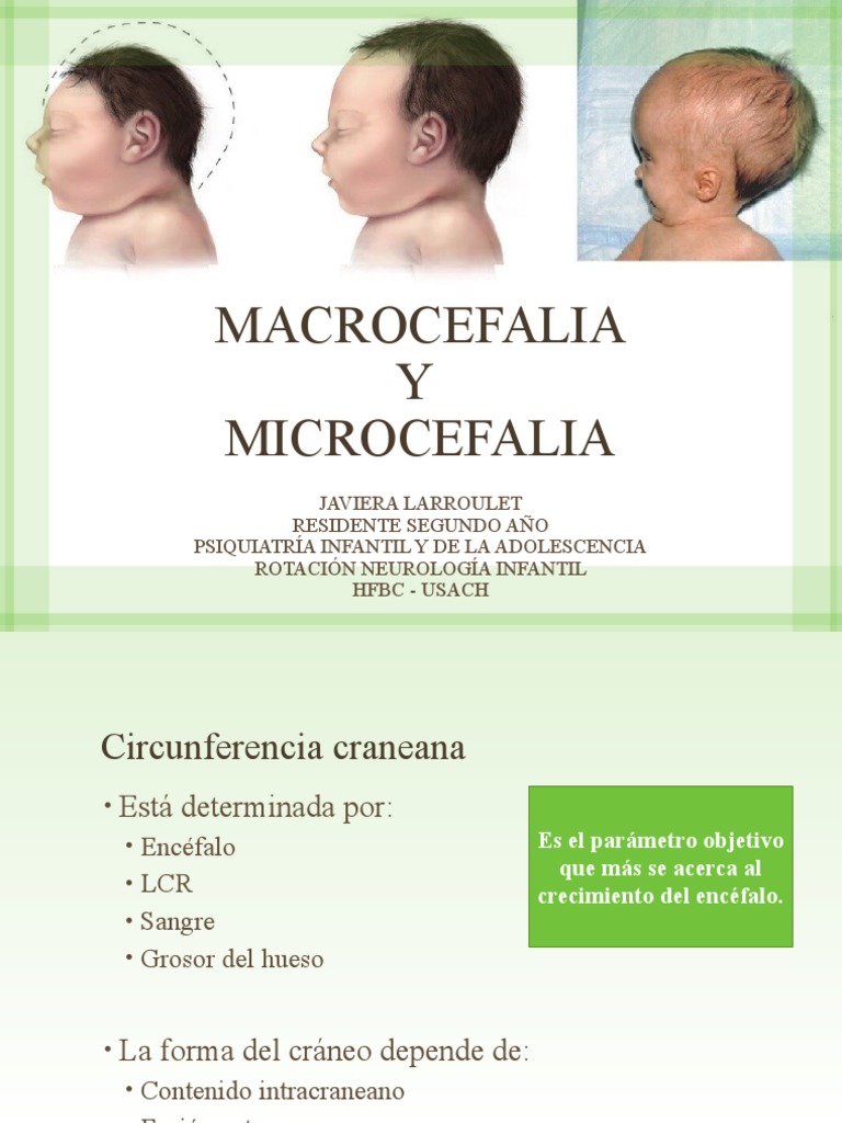 Macro y Microcefalia JL | PDF | Cráneo | Neurología