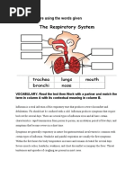 Key Terms in Respiratory Medicine | PDF | Larynx | Respiratory System