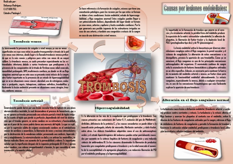 Mapa Conceptual Trombosis | PDF | Trombo | Coagulación