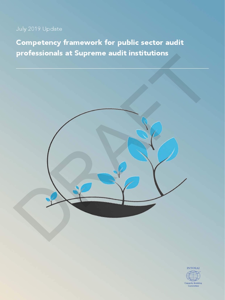 Draft: Competency Framework For Public Sector Audit Professionals at ...