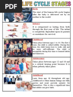 Human Life Cycle for Kids | PDF | Adolescence | Toddler