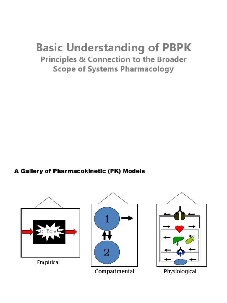 Basic Understanding of PBPK: Principles & Connection To The Broader ...