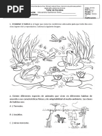 Animales y Su Habitat para Colorear PDF | PDF