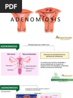 En Qué Consiste El MAPA y AMPA | PDF | Hipertensión | Presión sanguínea