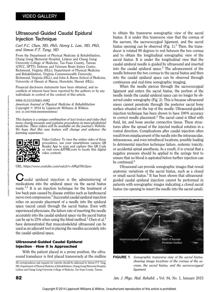 Ultrasound Guided Caudal Epidural Injection 9 Pdf Medical