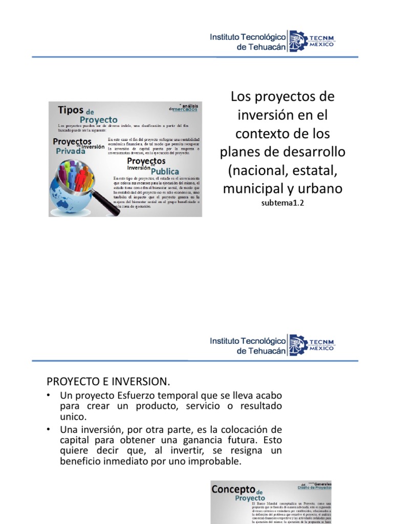 1.2 Los Proyectos de Inversion. | PDF | Inversiones | Sustentabilidad
