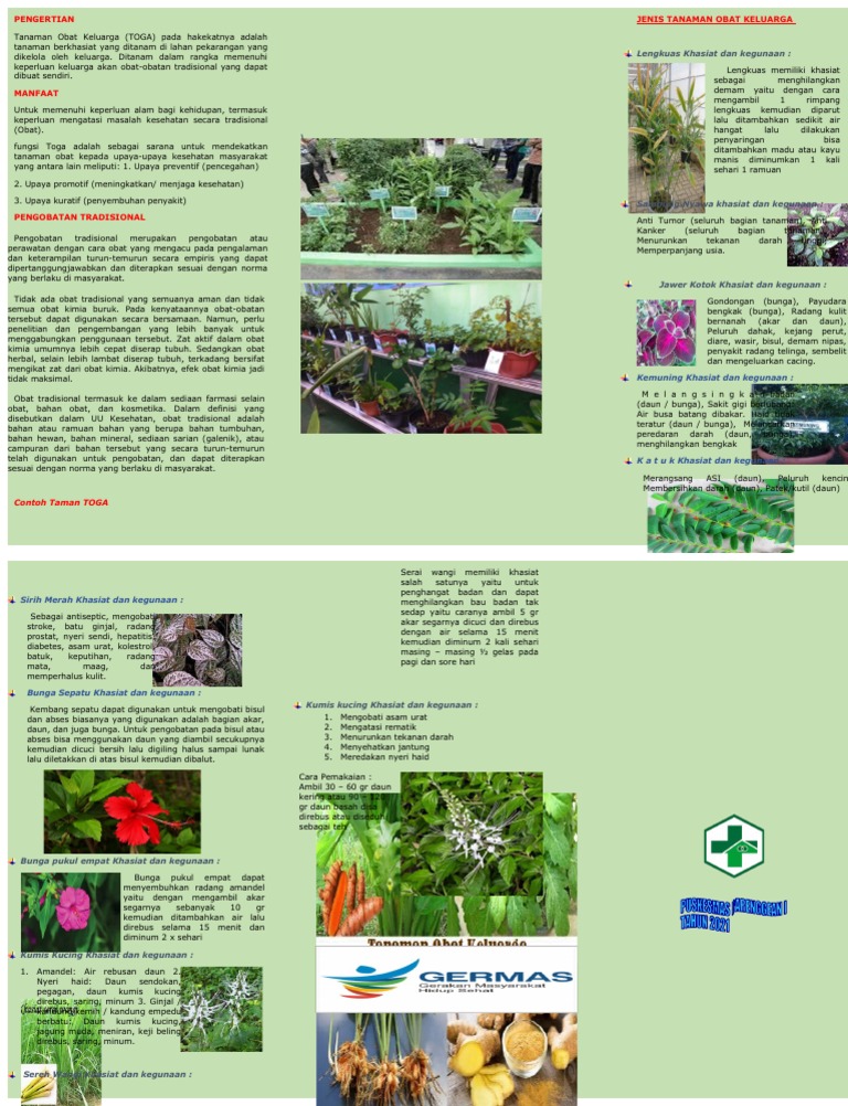 Leaflet Toga Fixs | PDF