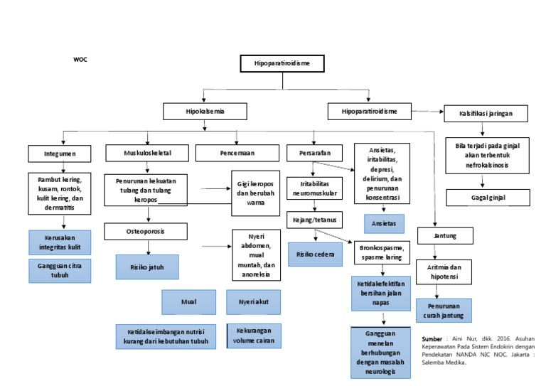 WOC Hipoparatiroid | PDF
