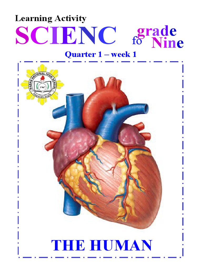 The Human Heart: Learning Activity Sheets in | PDF | Heart Valve ...